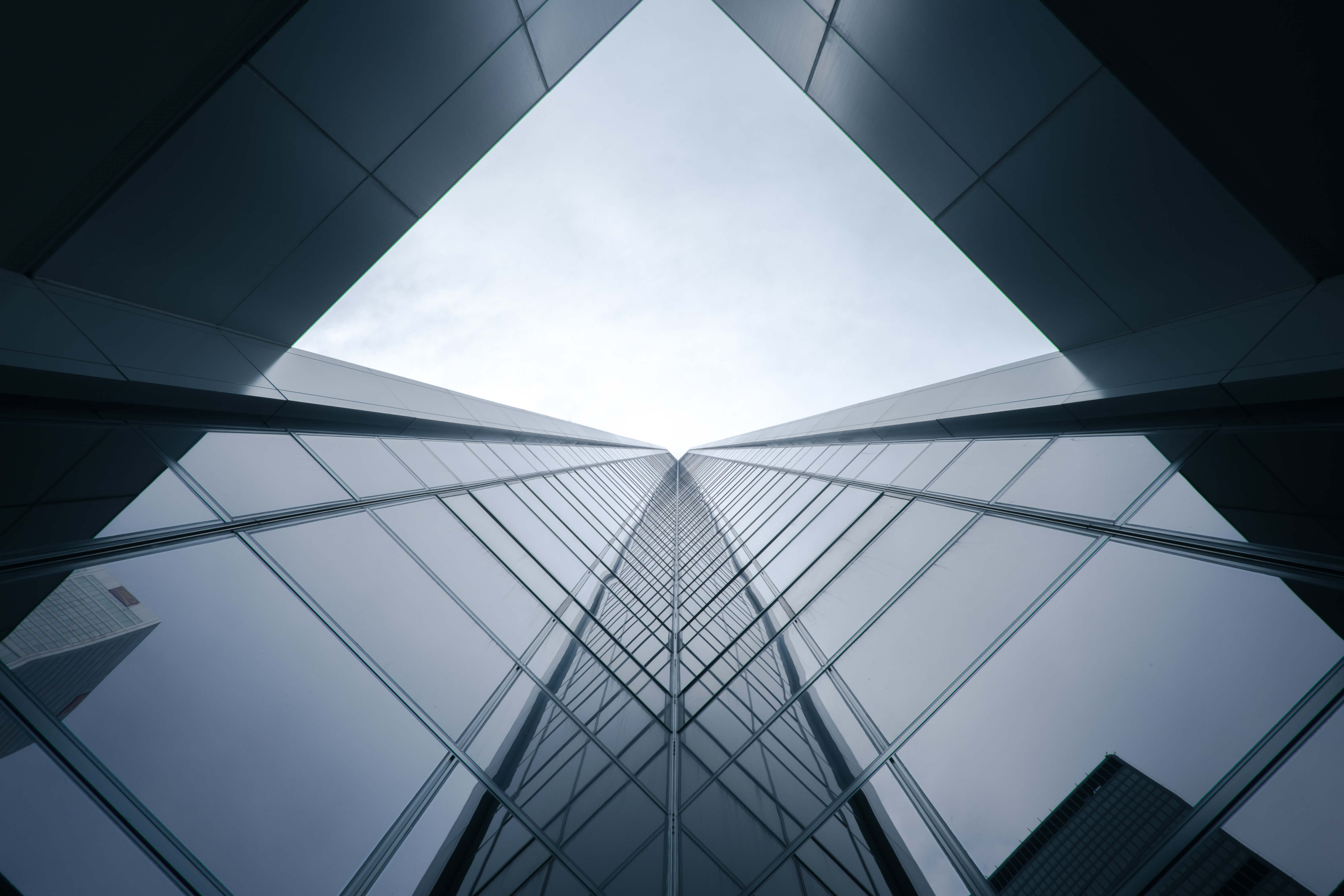 The Vertical VC Why A Specialized VC Is The Best Partner For