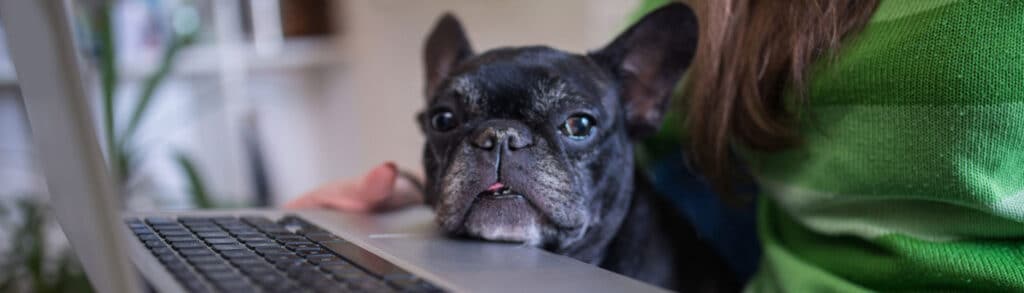 24 Lessons We've Learned from 1 Year of Working Remotely - OpenView